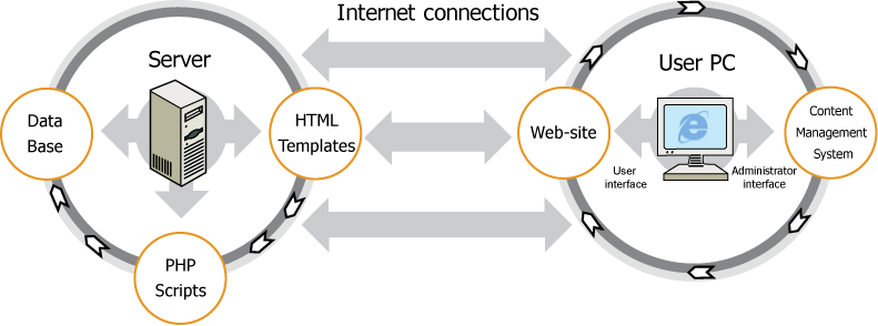 What Is The difference Between HTML PHP ASP Or C Development For 